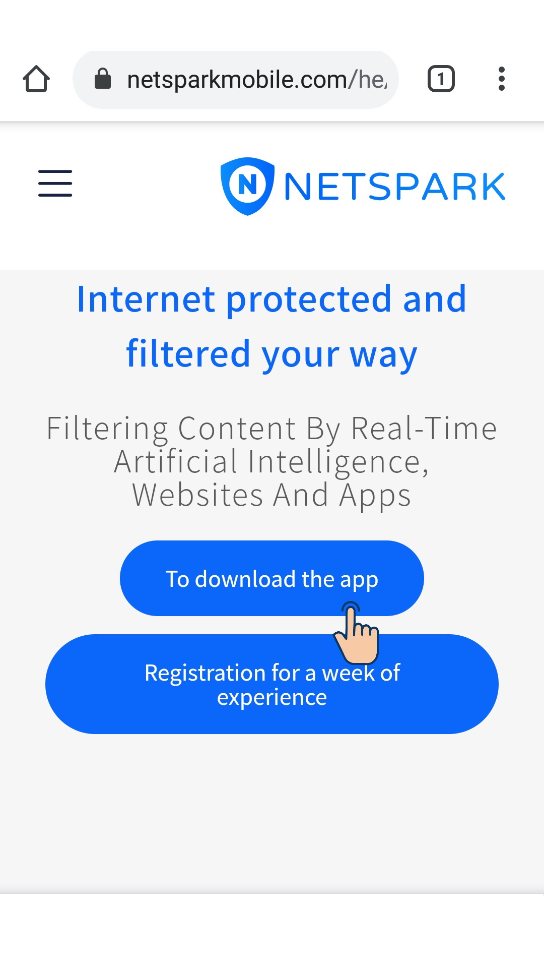 Transferring a Netspark License to a New Device